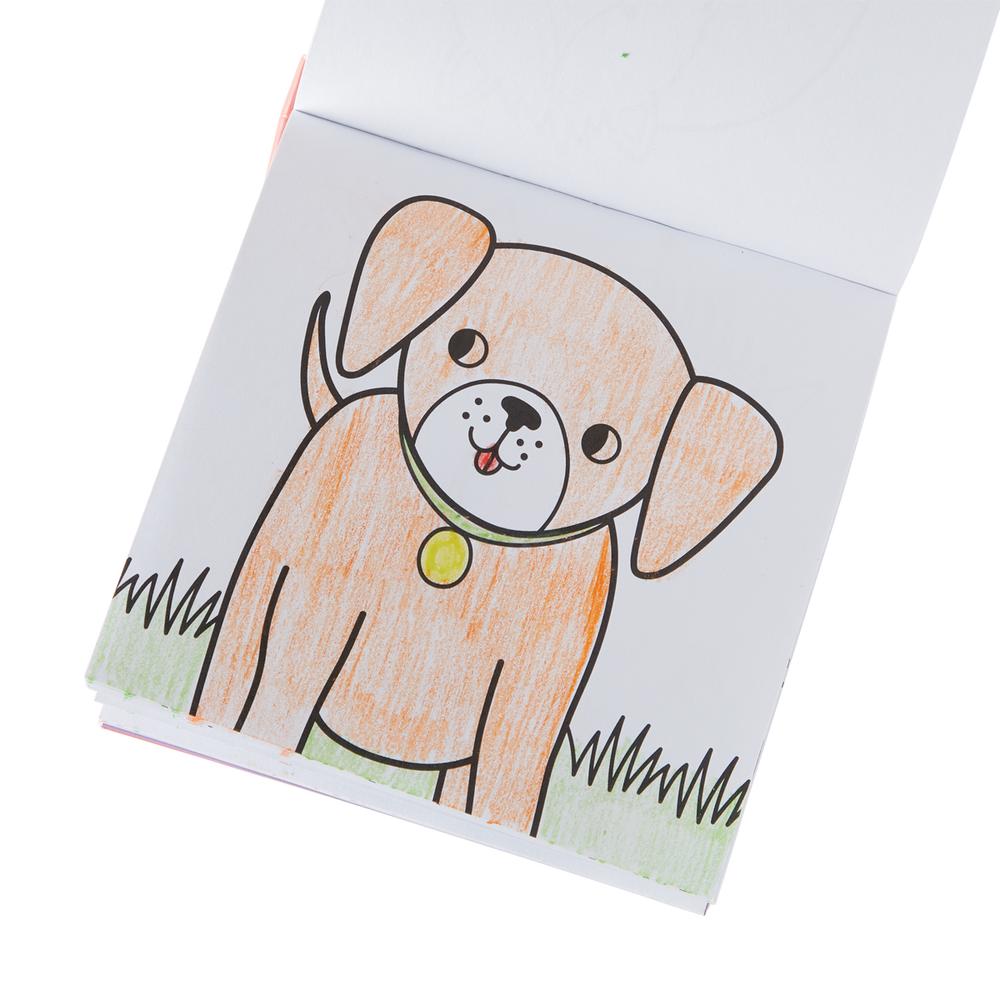Carry Along Coloring Book and Crayon Set - Pet Pals - OOLY
